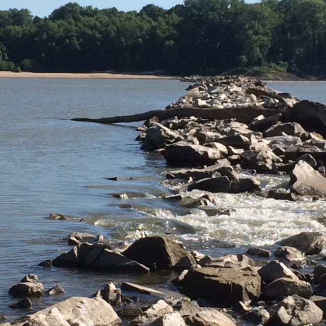 “Gar Rodeo” Fallback – "Samurai" Fly Shop