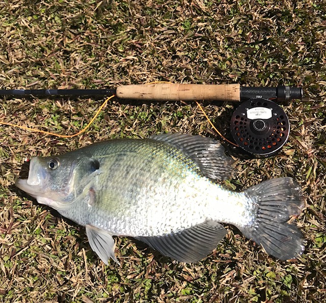 Wool/Yarn Indicators for Crappie – "Samurai" Fly Shop